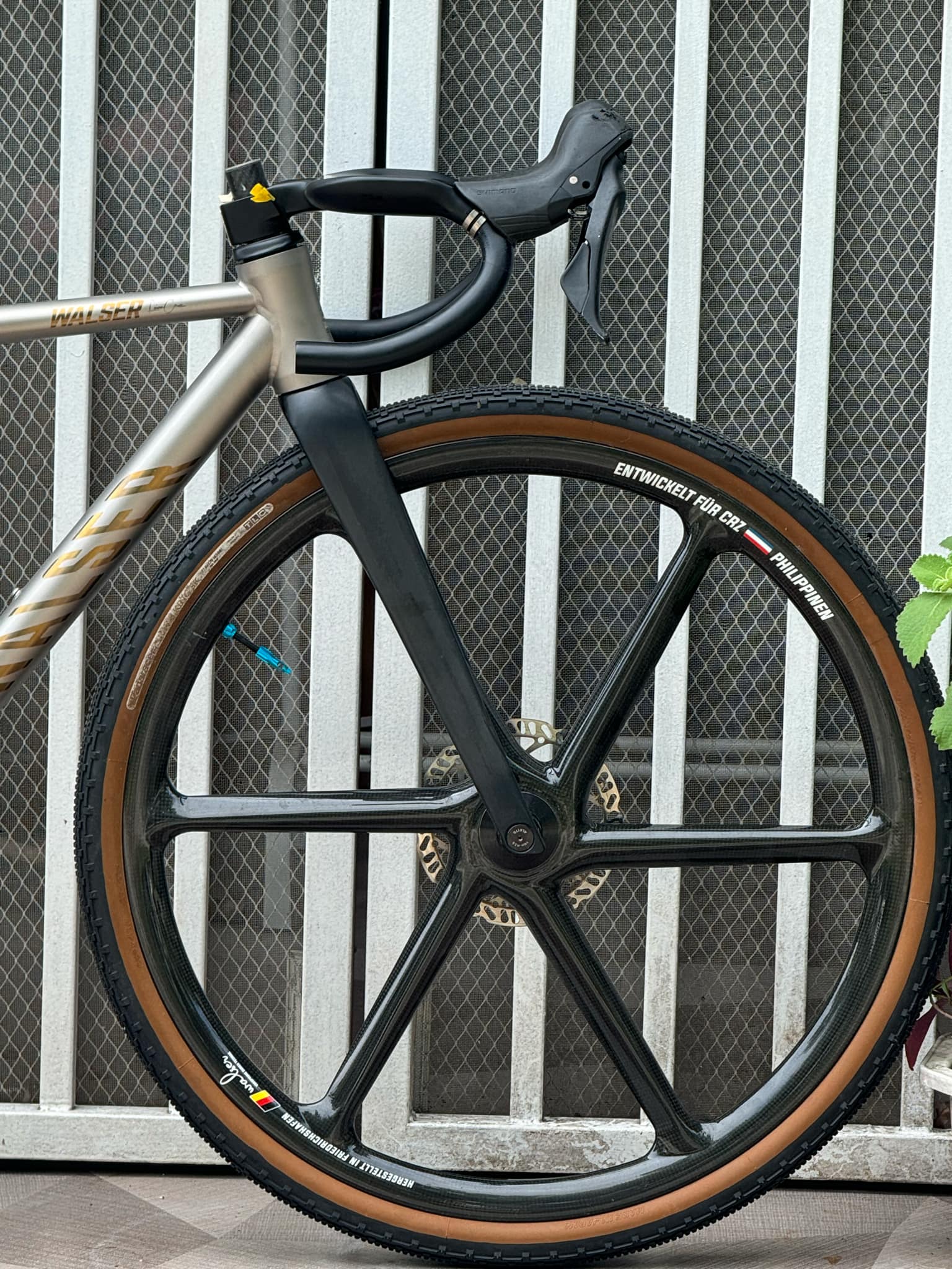 Gen 3 Walser Bike Frame – Bespoke Custom